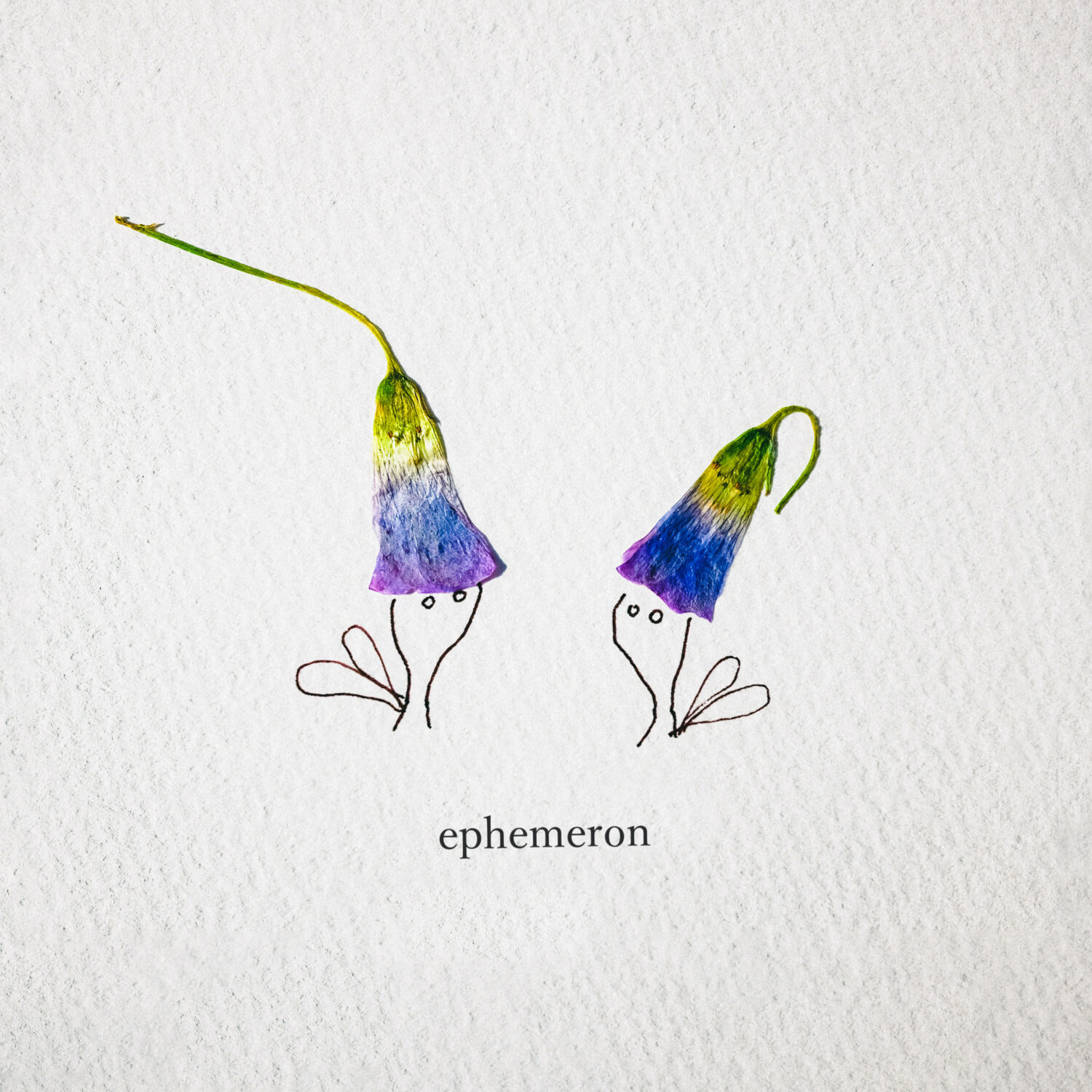 ephemeron / ミカコ・ハサウェイ / まつだくばく 対バンライブ わからん屋（京都） – Shoko Numao official ...